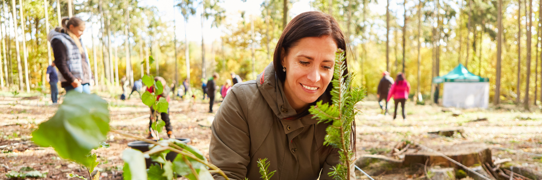 Ecological Consultants Insurance | Professional Saver